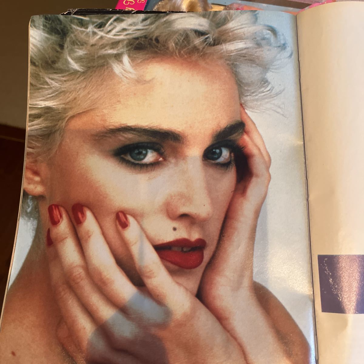 マドンナ1990年発行特集ヴィンテージ オールド ビィンテージブック 写真多数 Madonna 送料無料 お値打ち品 綺麗傑作最高品 送料無料|代購幫