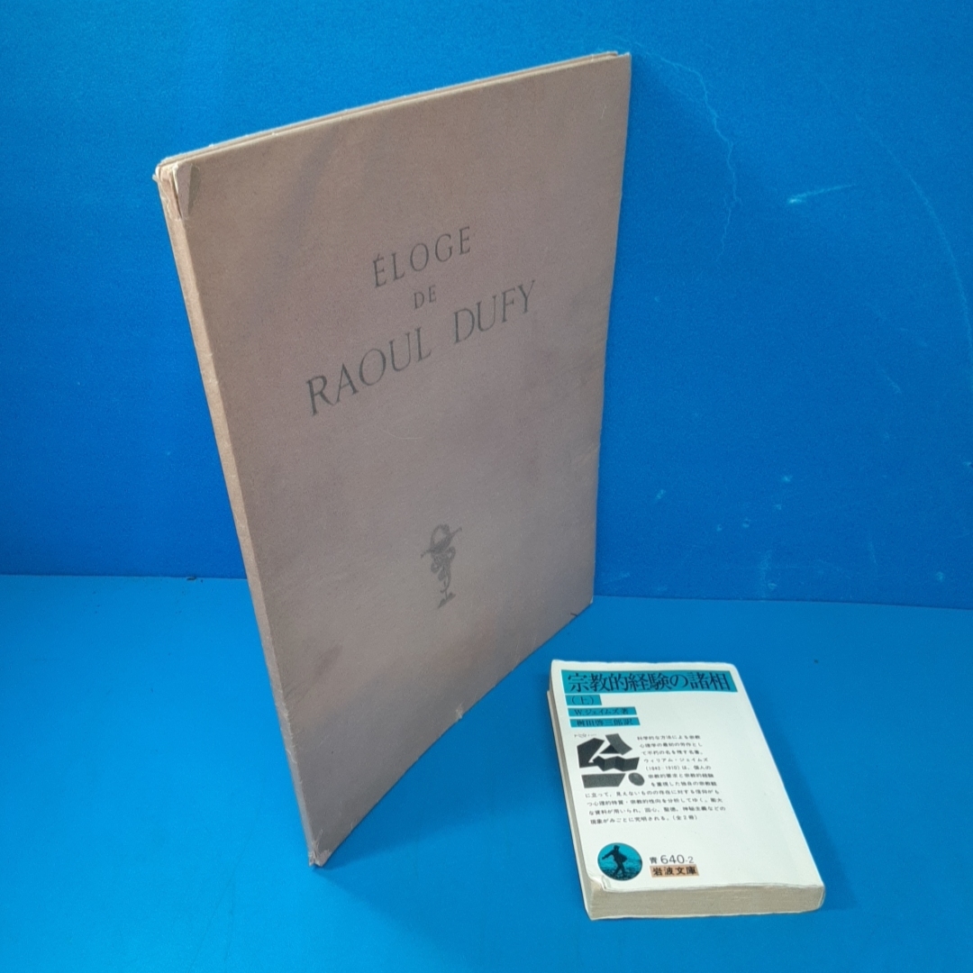 Eloge de Raoul Dufy ラウル デュフィを讃えて 限150 1928 肖像銅版画1点＋リトグラフ4点 ピノ マラスコレクション(石版画、リトグラフ)｜売買されたオークション情報 ...