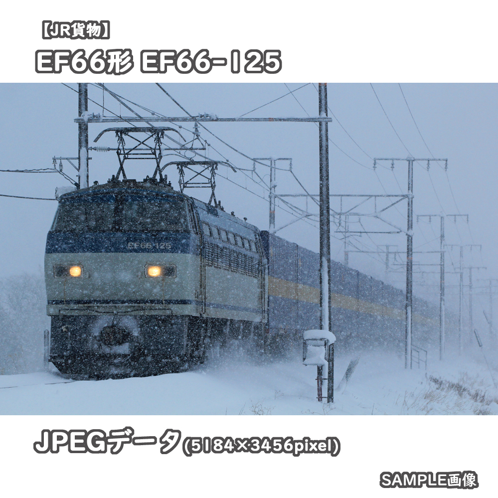 Yahoo!オークション - 鉄道デジタル画像集 JR貨物撮影記録vol.005 DD5...