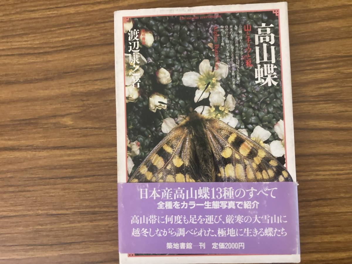 Yahoo!オークション - 高山蝶 山とチョウと私 渡辺康之 /39B