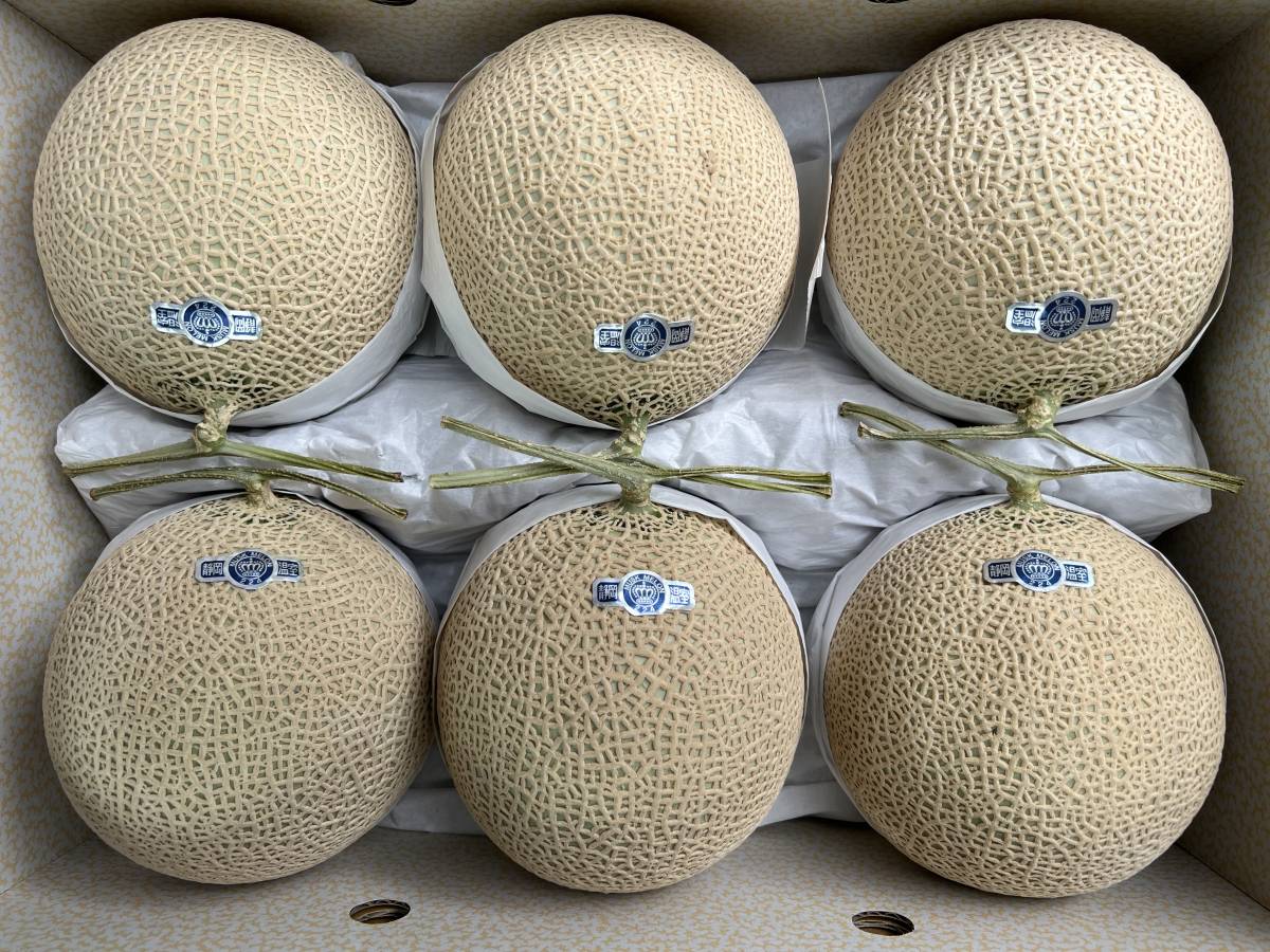 Yahoo!オークション - 【実験店舗】静岡クラウンメロン”白”8.1kg訳...