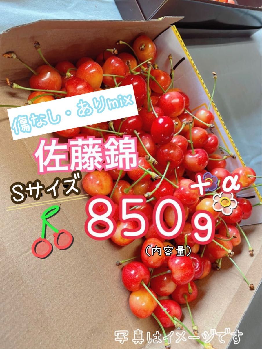 今週中発送予定 さくらんぼ 佐藤錦 Sサイズ 山形県産 850g＋α 家庭用 《規格外》｜PayPayフリマ