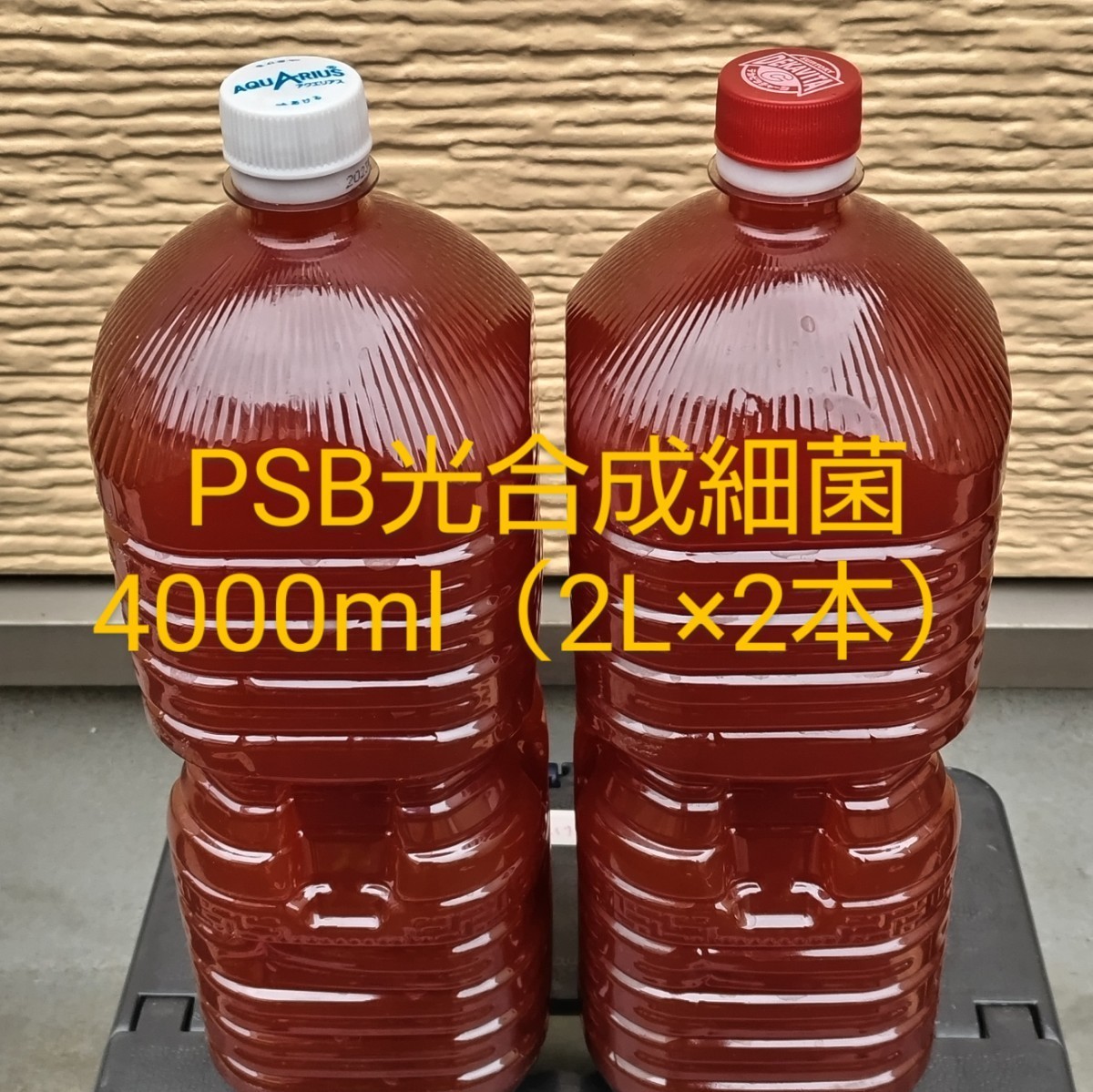 Yahoo!オークション - 【4000ml】光合成細菌PSB（自家培養）【めだか_...