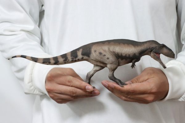 Yahoo!オークション - PNSO 成長シリーズ 68 マプサウルス 恐竜 フィギ...