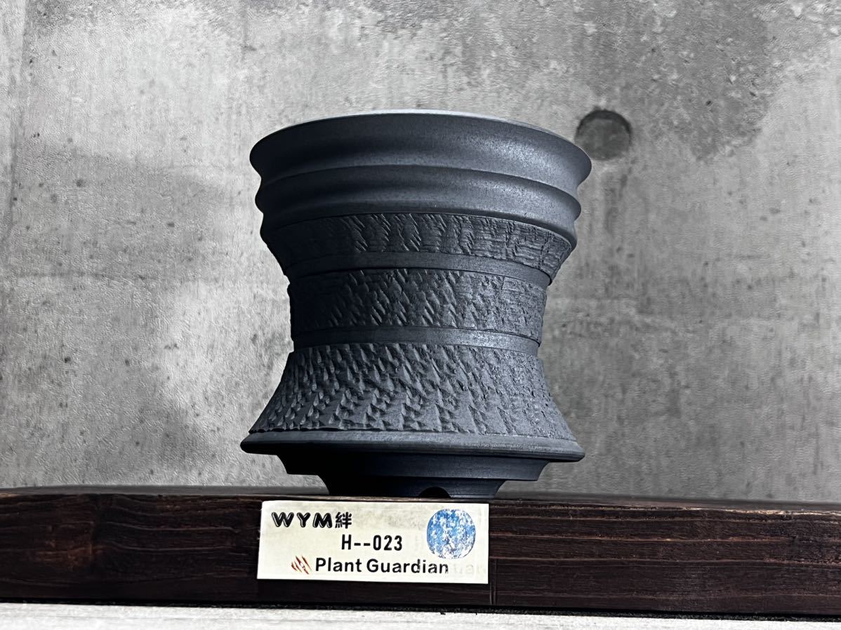 Yahoo!オークション - H023 Mサイズ 植木鉢 陶器 検（パキプス invisib...