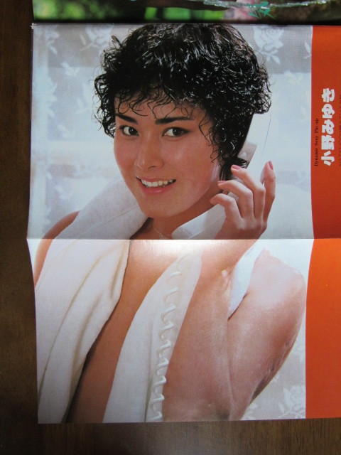 お宝 週刊プレイボーイ 昭和54年6月5日号 小野みゆきピンナップポスター付 浅野温子 白都真理 風祭ゆき 桑江知子 吉田真梨複数被写体|売買されたオークション情報、yahooの商品情報を