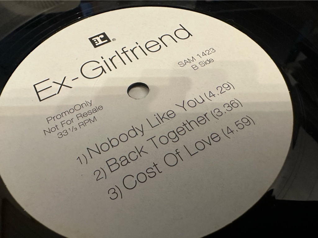 12” Ex-Girlfriend / It's A Woman Thang Album Sampler / R&B / New Jack Swing Nobody Like You / X ...