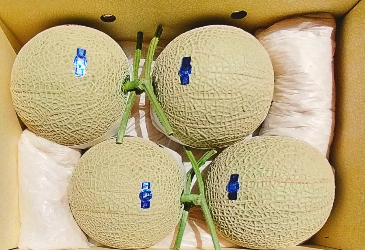 Yahoo!オークション - 約8 6kg 高知産 マスクメロン 隔離栽培 4玉...
