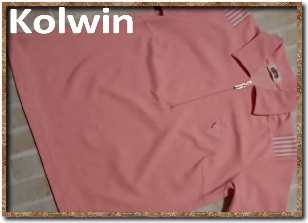 Yahoo!オークション - 美品 Kolwin コルウィン 刺繍入りカットソー ピ...