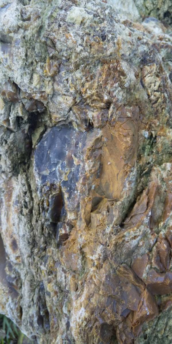 瑪瑙珪化木 2 水石 名石 銘石 庭石 鑑賞石 科学、自然 瑪瑙珪化木 2 水石 名石 銘石 庭石 鑑賞石 科学、自然