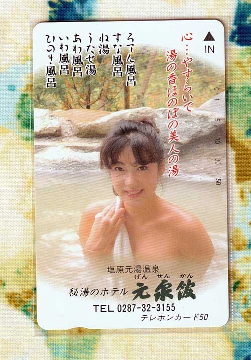 Yahoo!オークション - (Y40-3) 塩原元湯温泉 秘湯のホテル 元泉館 テレ...