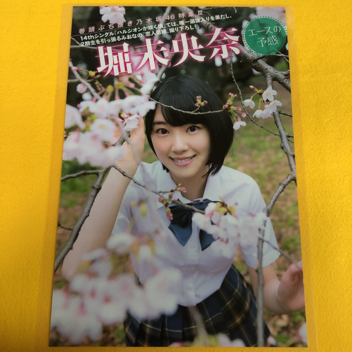 Yahoo!オークション - 『雑誌グラビア ラミネート加工』A-201 A4 2枚4...