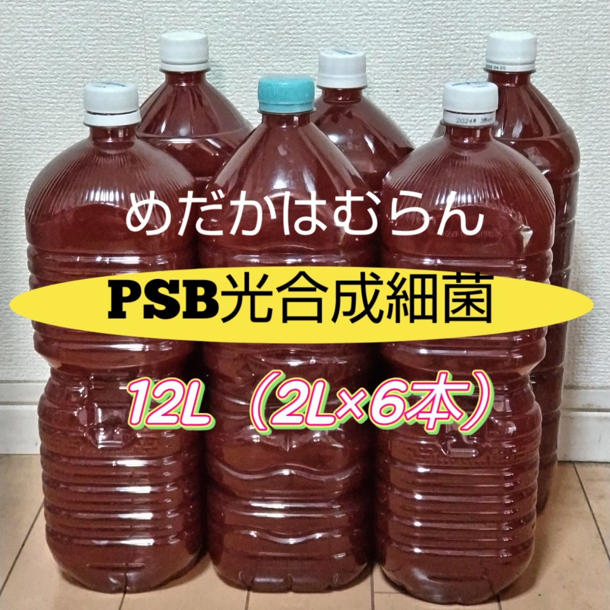 Yahoo!オークション - 【12L】PSB光合成細菌（自家培養）【めだか_はむ...