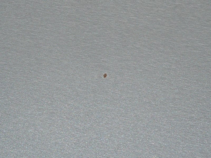 Yahoo!オークション - A767 キャプテンスタッグ ピクニックテーブル テ...