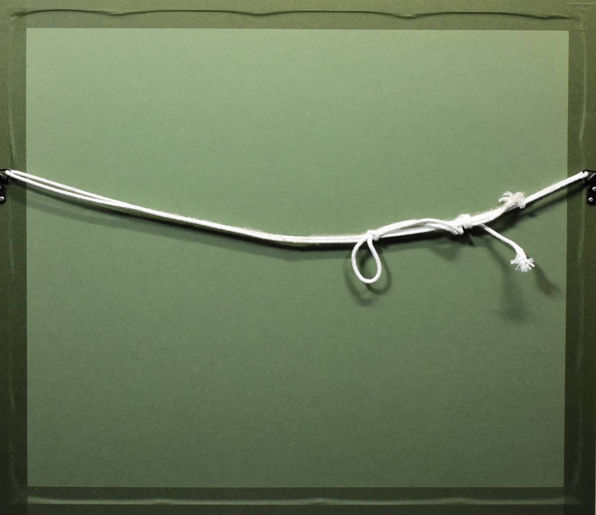 Yahoo!オークション - （MNo.474）【真作】 依田万実 『花明り』 269/9...