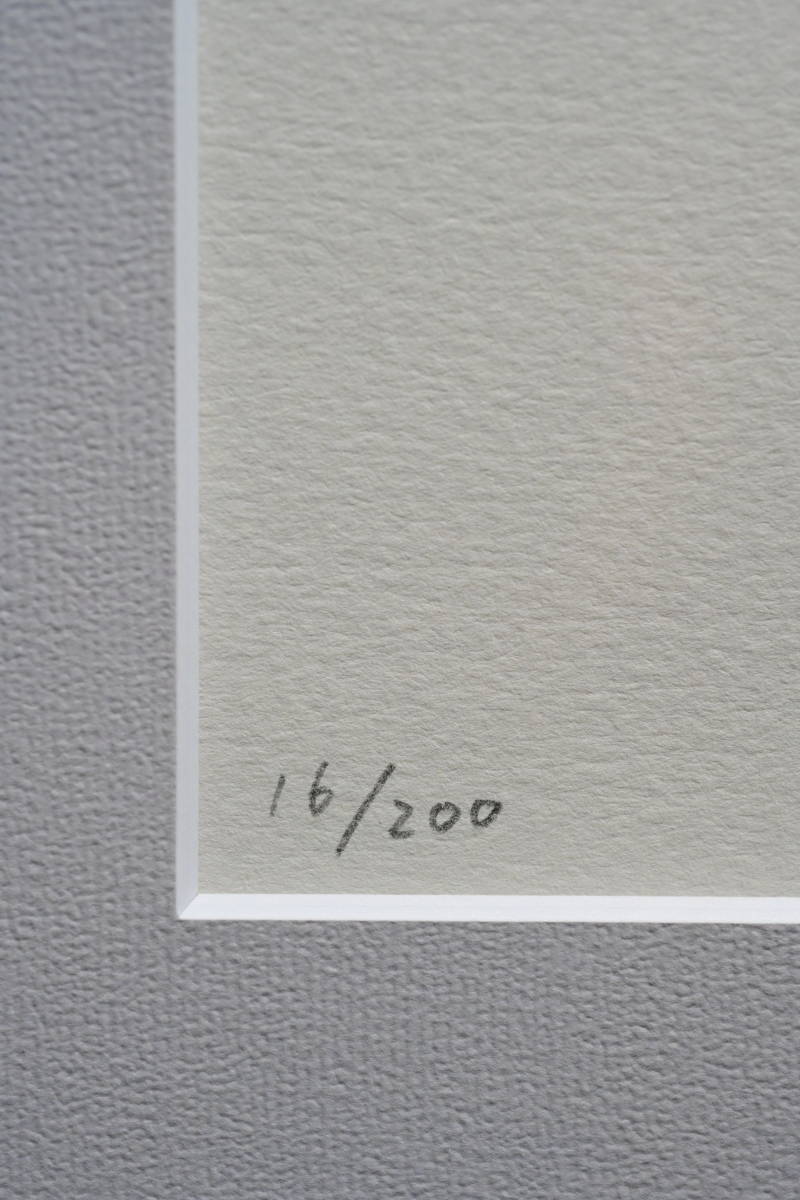 代購代標第一品牌－樂淘letao－(MNo.505）【真作】 天野喜孝 『翔-しょう-』 16/200 保証書付 版画 リトグラフ 絵画 額装