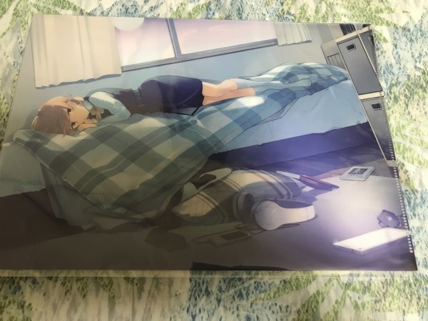 d122クリアファイル やがて君になる 仲谷鳰 電撃 7巻 とらのあな特典(クリアファイル)｜売買されたオークション情報、yahooの商品情報をアーカイブ公開 - オークファン（aucfan.com）