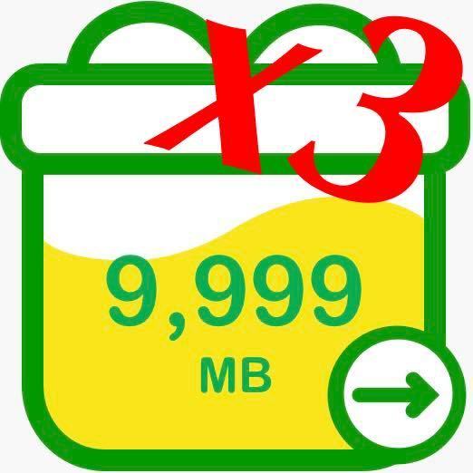 Yahoo!オークション - 【匿名発送】即発送 パケットギフト 30GB (9999M...