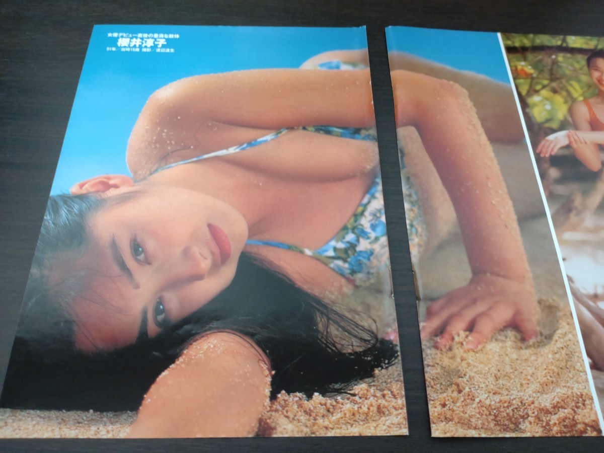 櫻井淳子 高橋由美子 相本久美子 アグネス チャン 林寛子 杉本彩 切り抜き6P 水着 G344(タレント)｜売買されたオークション情報、yahooの商品情報をアーカイブ公開 - オークファン ...