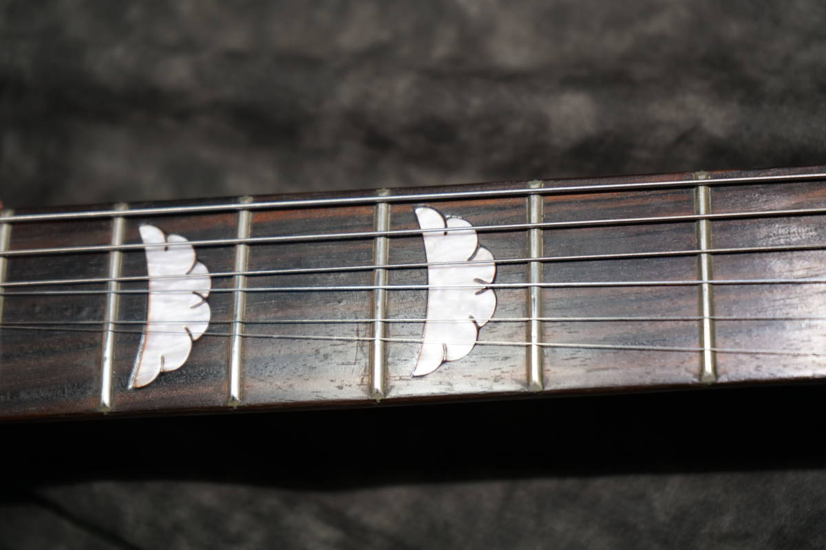 Yahoo!オークション - Aria Pro Ⅱ アリアプロ2 名機 PE ケーラー 搭載...