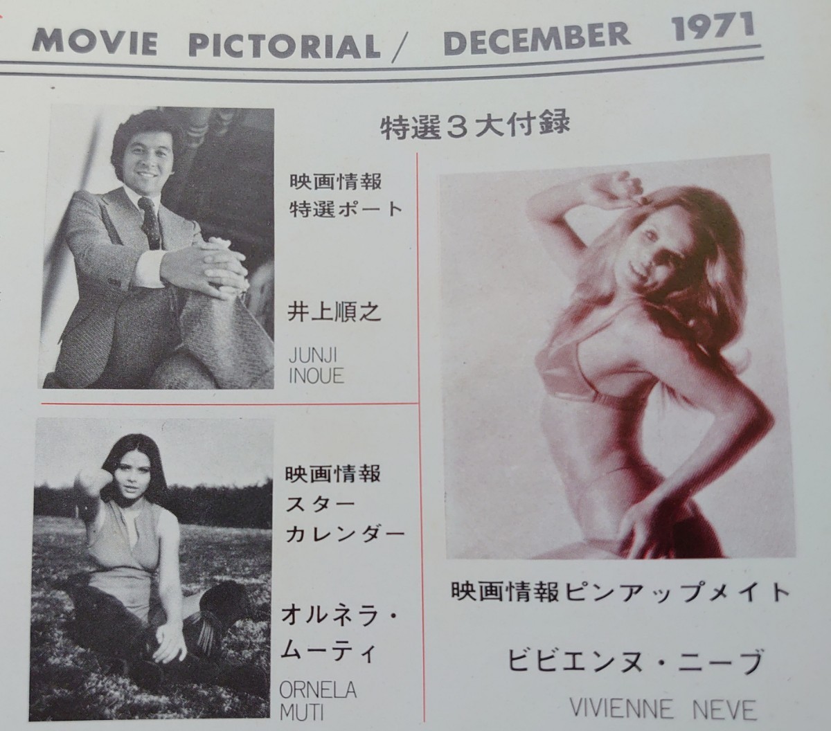 代購代標第一品牌－樂淘letao－映画情報 1971 (昭和46年)12月 小川知子 ちあきなおみ 渥美マリ 合歓ポピュラーフェスティバル´71 沢田研二 菊容子ほか