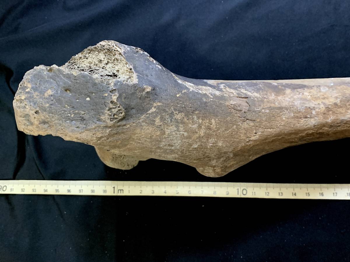 グリーンエピドート原石11.6キロ鑑賞石石置物オブジェインテリア グリーンエピドート原石11.6キロ鑑賞石石置物オブジェインテリア