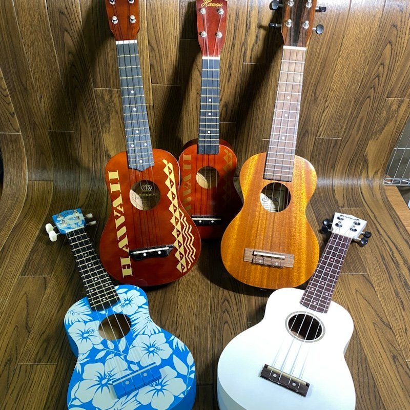 Yahoo!オークション - ウクレレ 5本まとめ売り ALA MOANA UK-100G HBL...