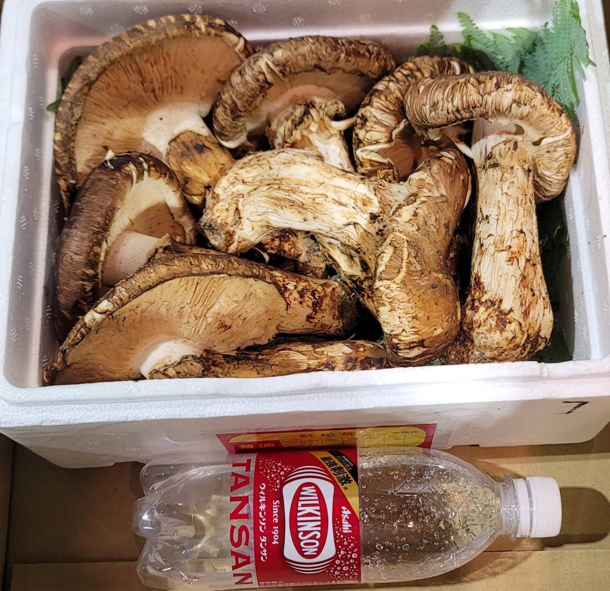 Yahoo!オークション - 松茸 中国産 約950g前後 3本～7本入 おまかせ特...