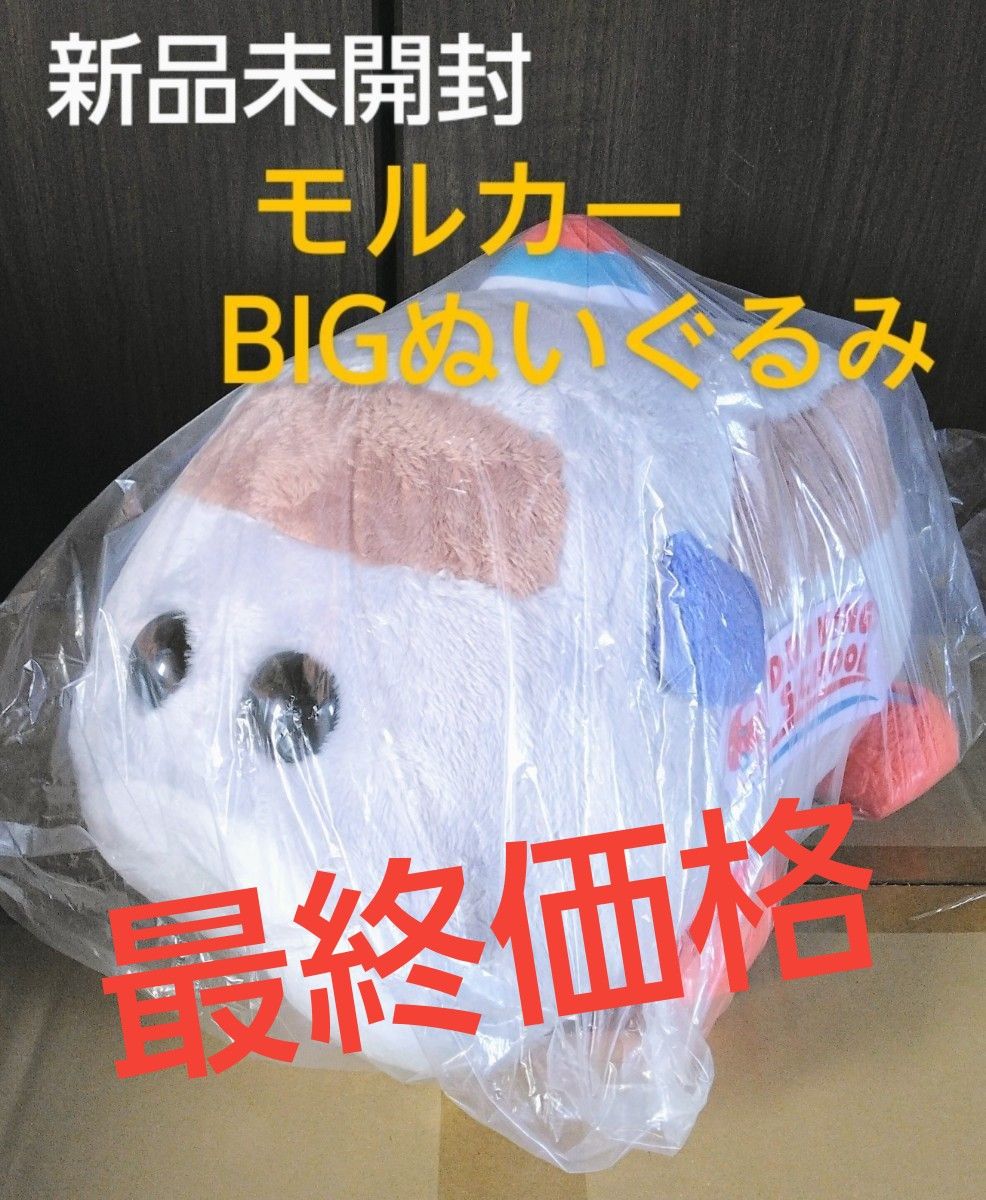 ベータ PUIPUIモルカー ほっこりいやされめちゃでかぬいぐるみ ベータ PUIPUIモルカー ほっこりいやされめちゃでかぬいぐるみ