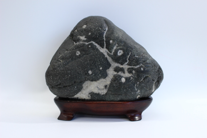 Yahoo!オークション - e246 希少石 天然記念物 北九州 門司産 梅花石 ...