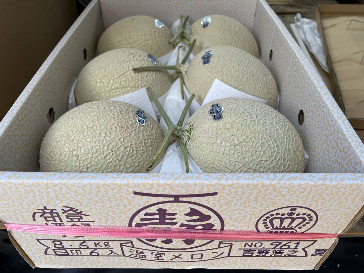 Yahoo!オークション - 【実験店舗】静岡クラウンメロン”白”8.6kg訳...