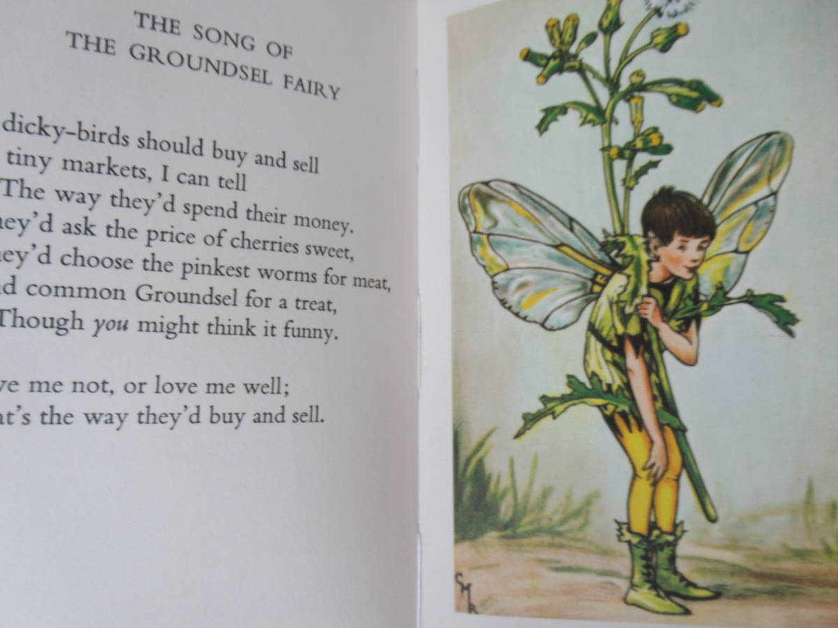 Yahoo!オークション - T37 洋書 フラワーフェアリー シリーズ2冊セット...