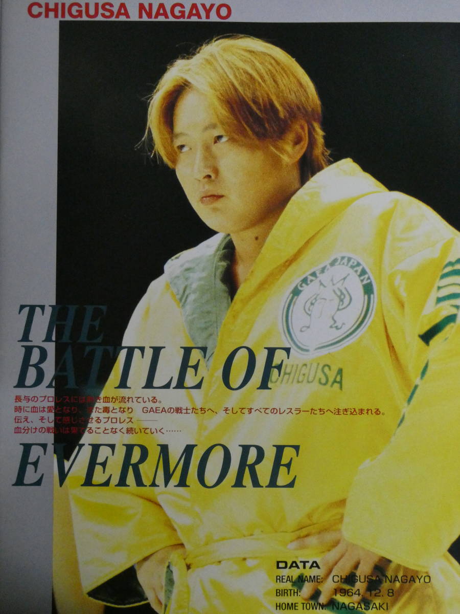 Yahoo!オークション - GAEA JAPANパンフレットVOL.3 FEEL THE GAEA ISM...