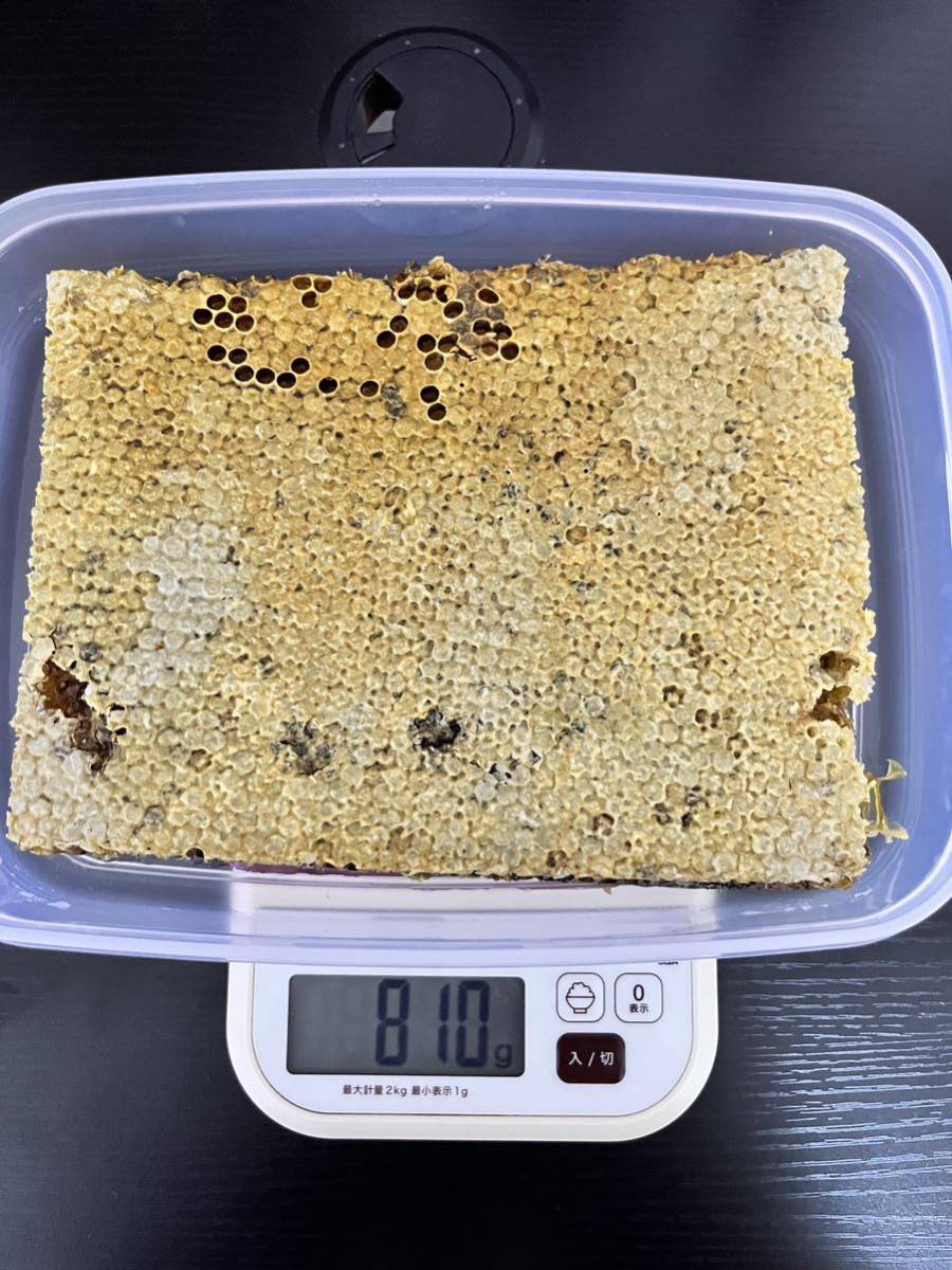 日本みつばちの巣蜜 約810g 巣みつ｜Yahoo!フリマ（旧PayPayフリマ）