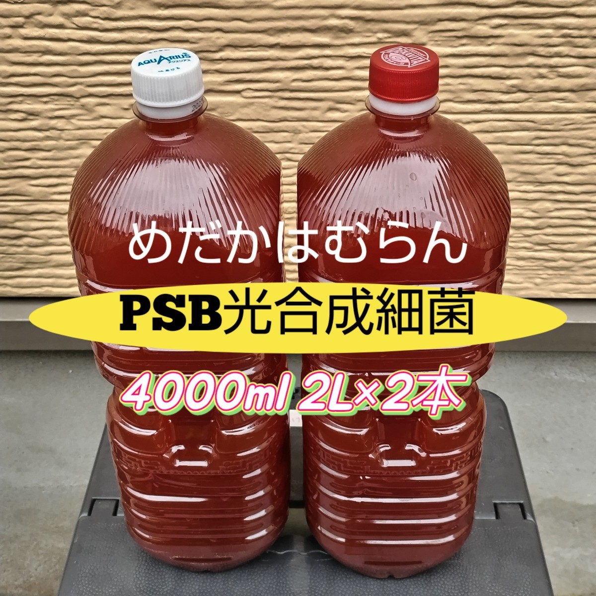 Yahoo!オークション - 【4000ml】光合成細菌PSB（自家培養）②【めだか...