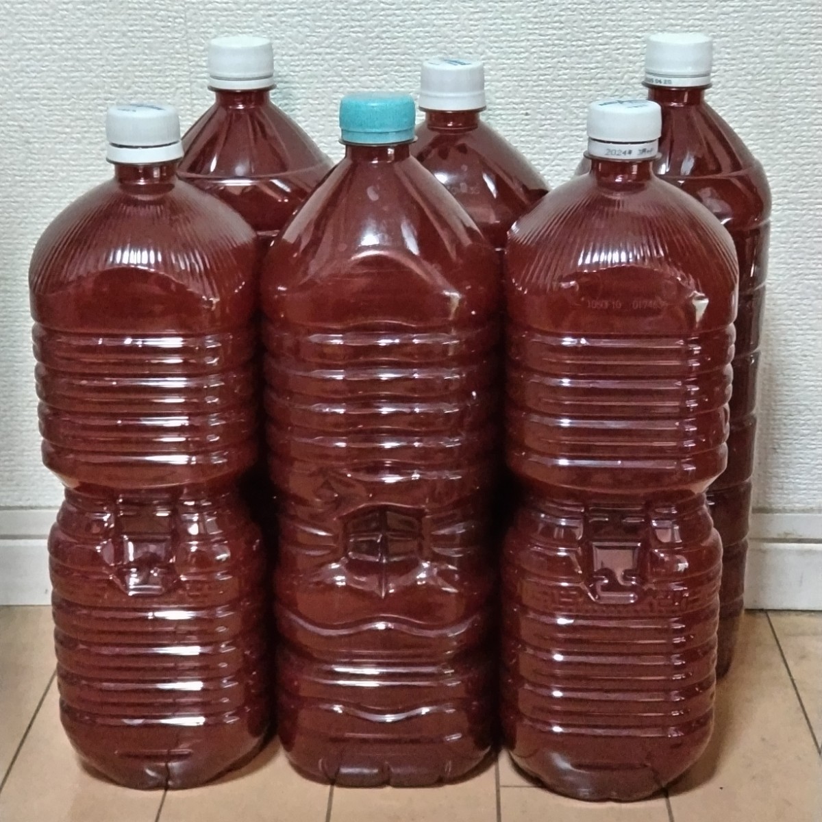 12L PSB光合成細菌 自家培養 めだか_はむらん メダカ 金魚 ゾウリムシ ミジンコ エサ 水質浄化 ヌマエビ 液肥 psb(バクテリア)｜売買されたオークション情報、yahooの商品情報 ...