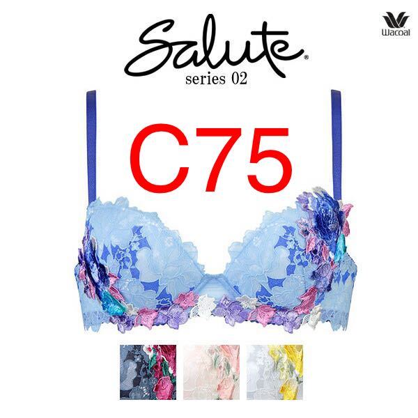 Yahoo!オークション - ワコール サルート ブラジャー BTJ702 C75
