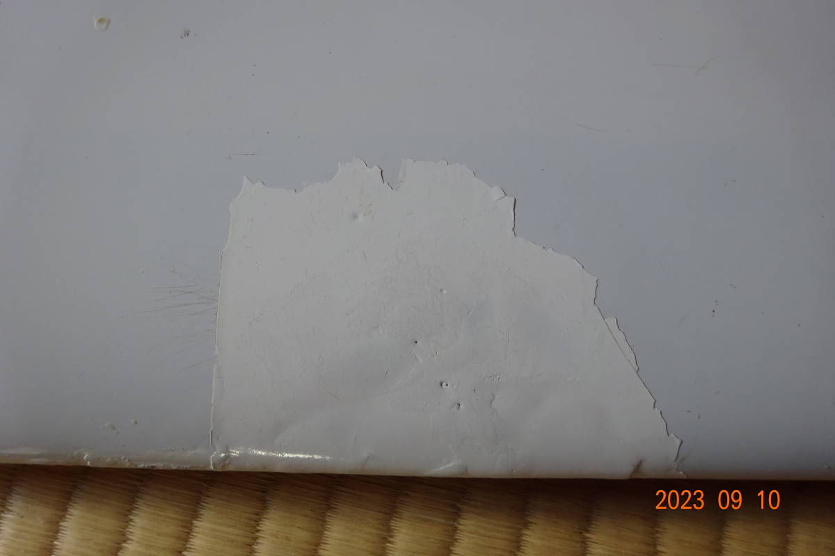 Yahoo!オークション - RCグライダー NANモデル オメガ シャーレ翼 スパ...