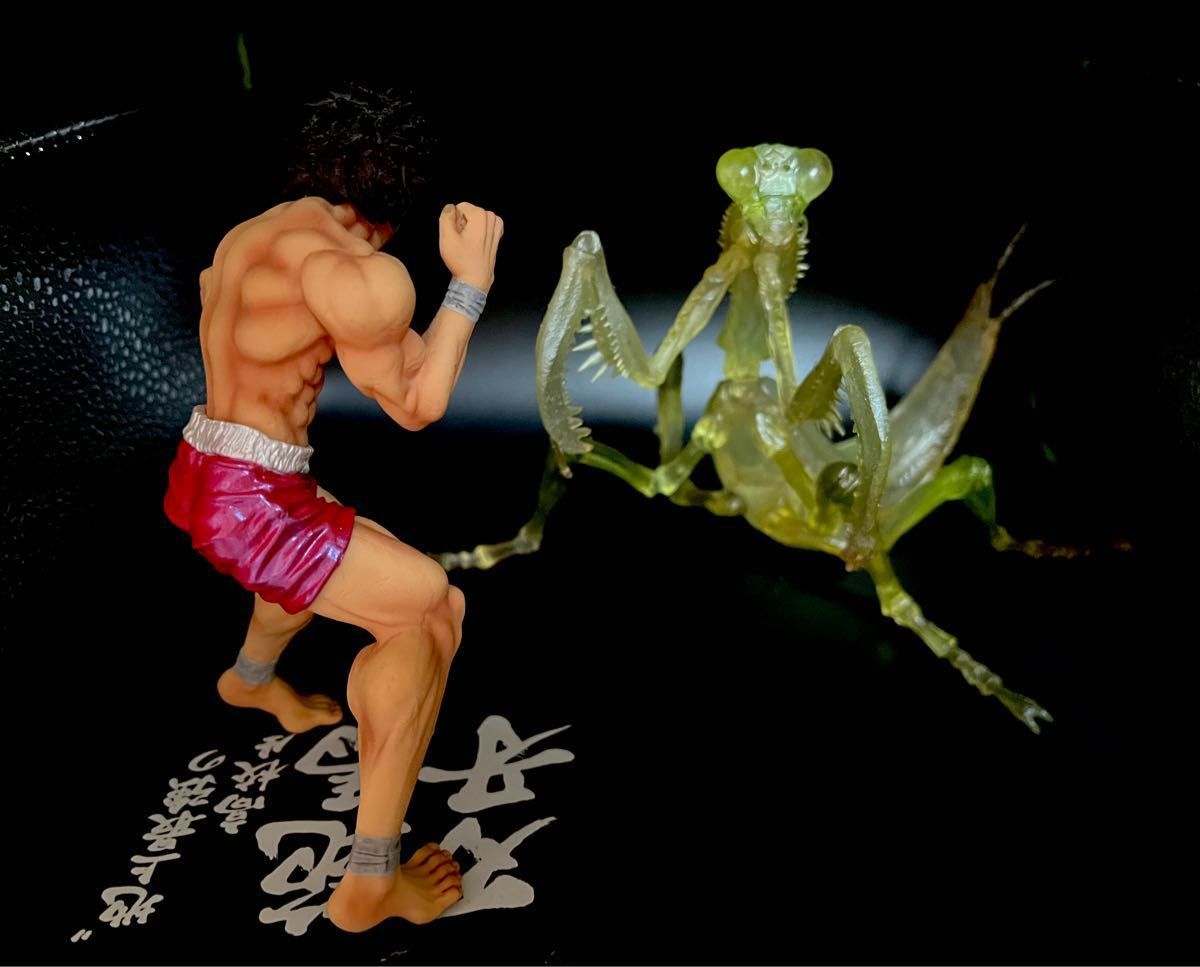 鬼レア 】範馬 刃牙&蟷螂(非販売品カマキリ)フィギュアーツ 鬼レア 】範馬 刃牙&蟷螂(非販売品カマキリ)フィギュアーツ