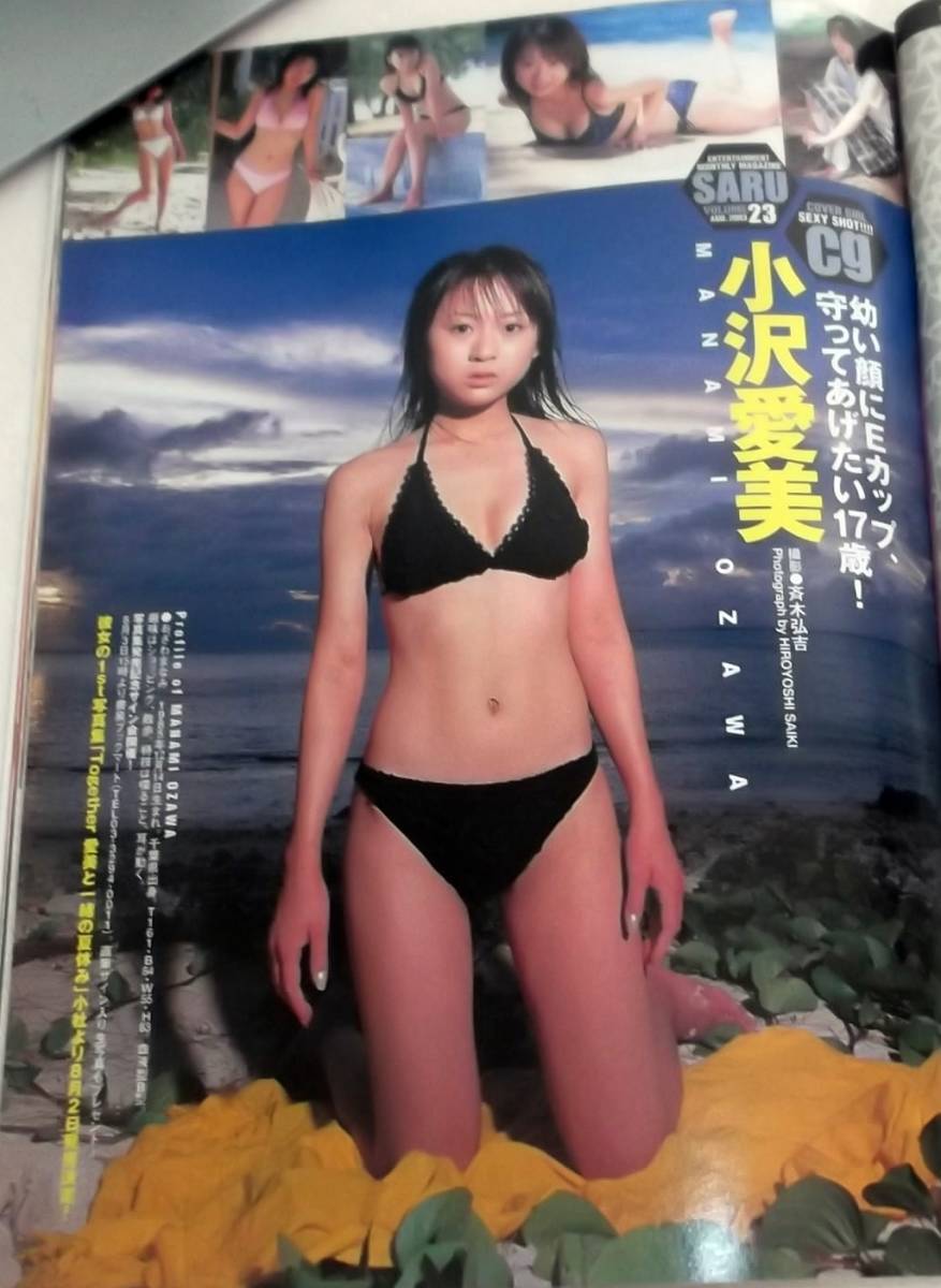 Yahoo!オークション - レア 月刊テレビサル Vol.23 TV saru 小沢愛美/...