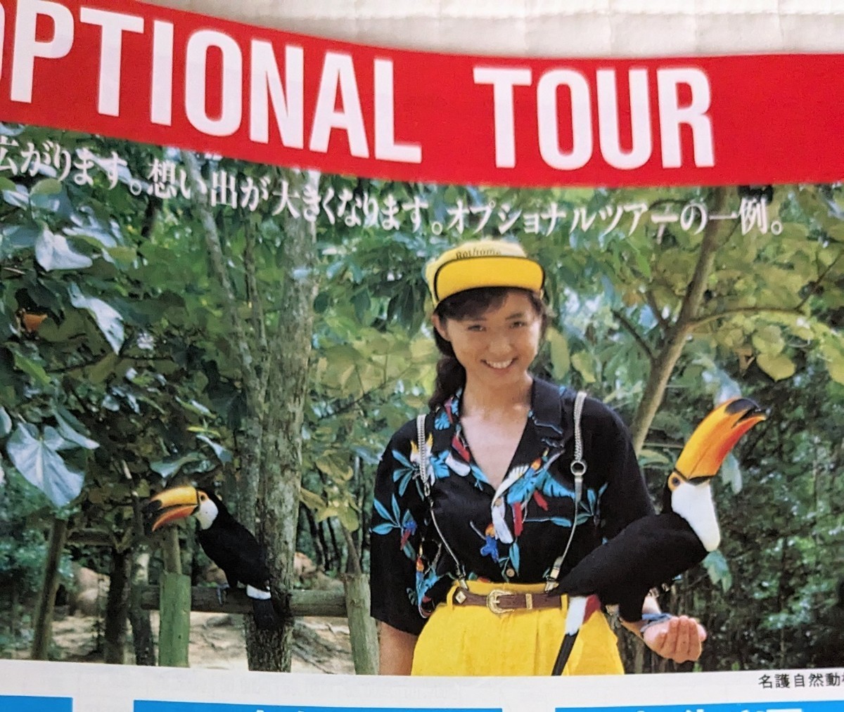 102 旅行パンフレット 沖縄 JTB 梶原真弓 モデル 90年 キャンギャル(印刷物)｜売買されたオークション情報、yahooの商品情報をアーカイブ公開 - オークファン（aucfan.com）