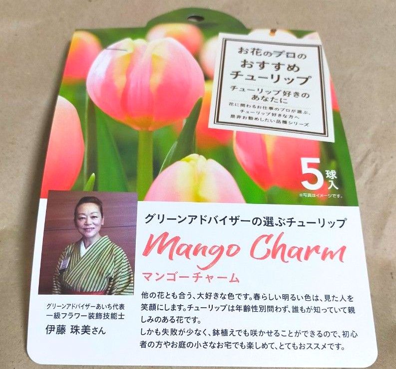 チューリップ球根2種類10球【マンゴーチャーム】【フォックス チューリップ球根2種類10球【マンゴーチャーム】【フォックス