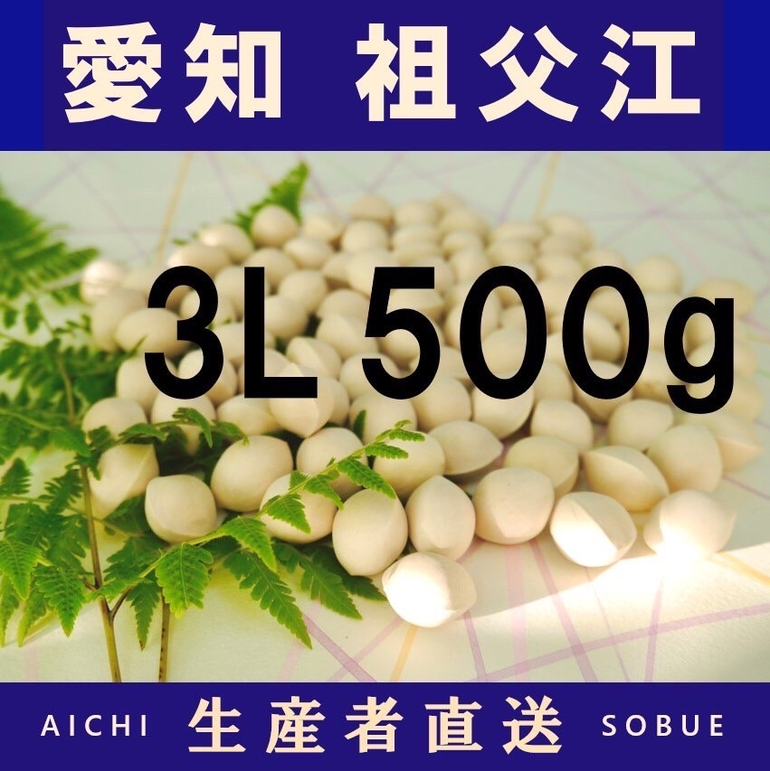 Yahoo!オークション - 2023年新物 久寿 銀杏 祖父江産 3L 500g