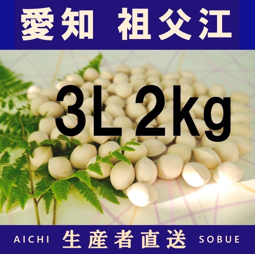 Yahoo!オークション - 2023年新物 久寿 銀杏 祖父江産 3L 2kg