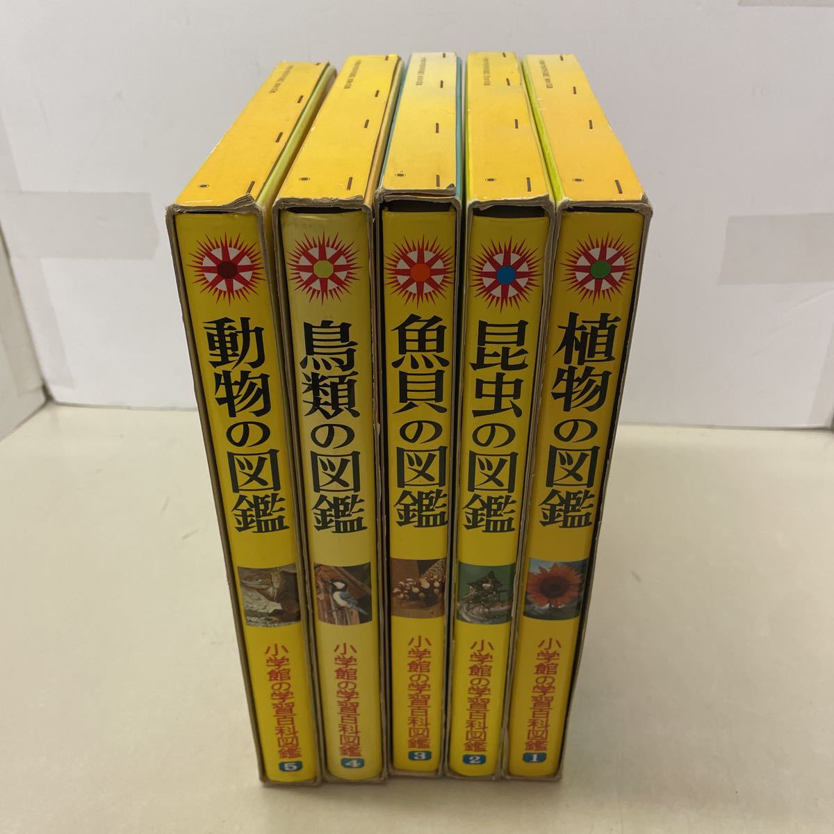 Yahoo!オークション - H08 小学館の学習百科図鑑 1〜5巻 5冊セット 植...