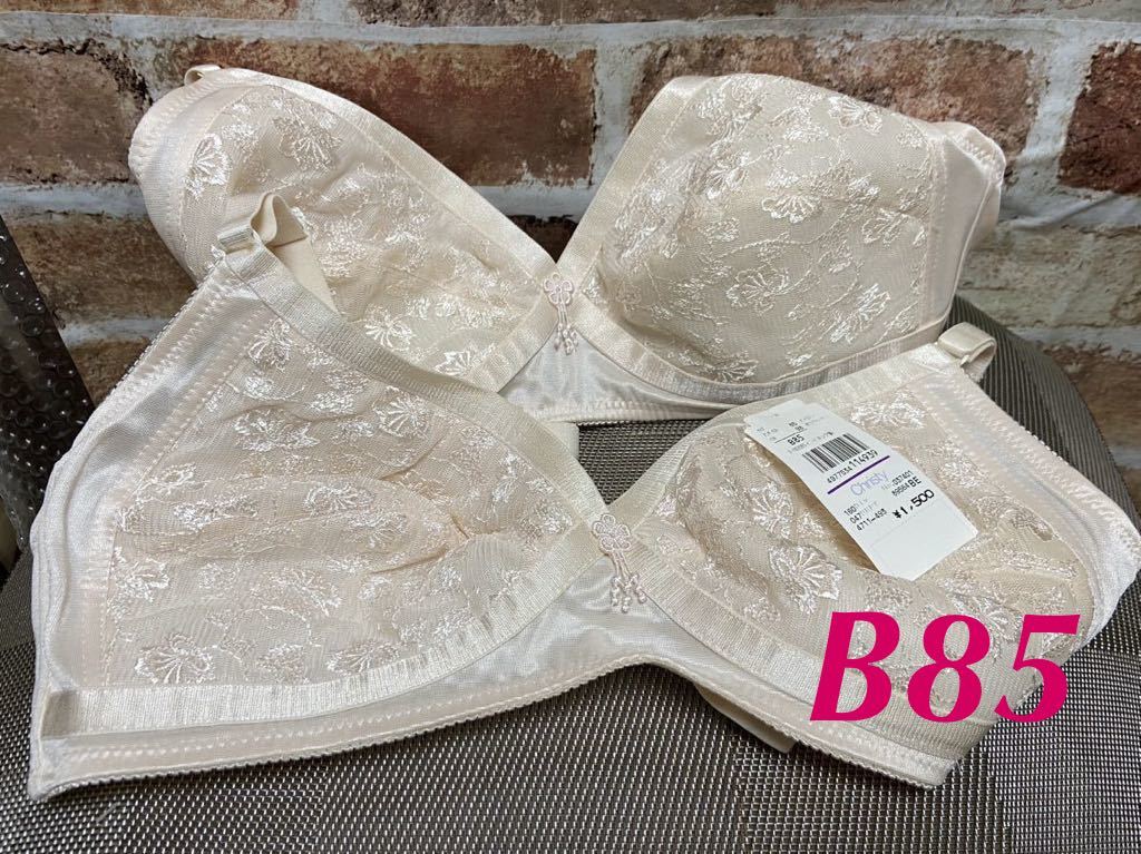 Yahoo!オークション - 婦人肌着 ブラジャー Christy B85 2枚 未使用品 ...
