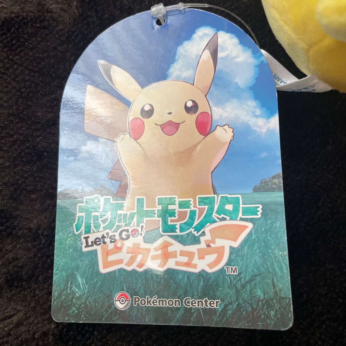 ポケモンセンター ぬいぐるみ ポケモンピカブイピカチュウ ポケモンセンター ぬいぐるみ ポケモンピカブイピカチュウ