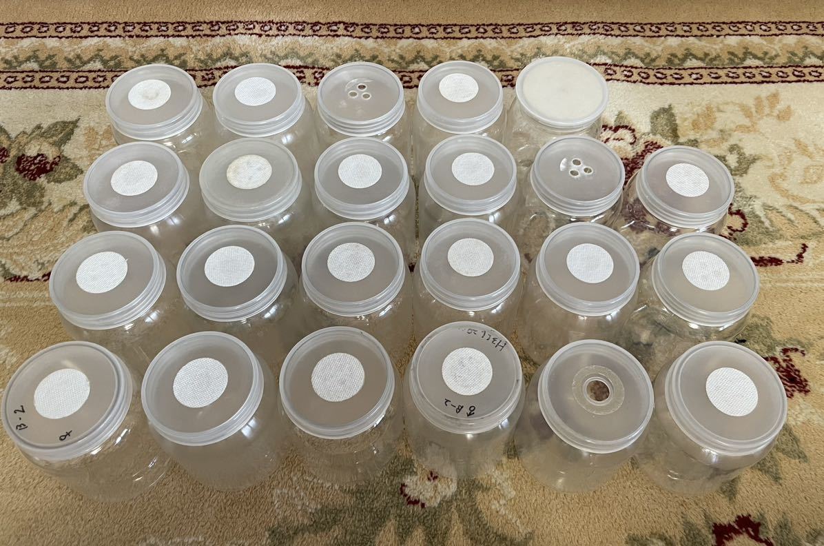 Yahoo!オークション - 【WAK】同梱不可 やや使用感あり 800cc ミックス...