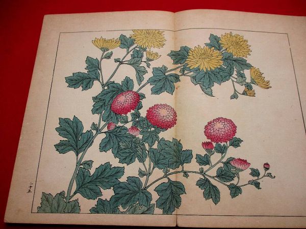 571 四季の花 秋の部 木版画帖 木版画集 芸艸堂 芸草堂 酒井抱一和本 古書 古文書 和書 |売買されたオークション情報、yahooの商品