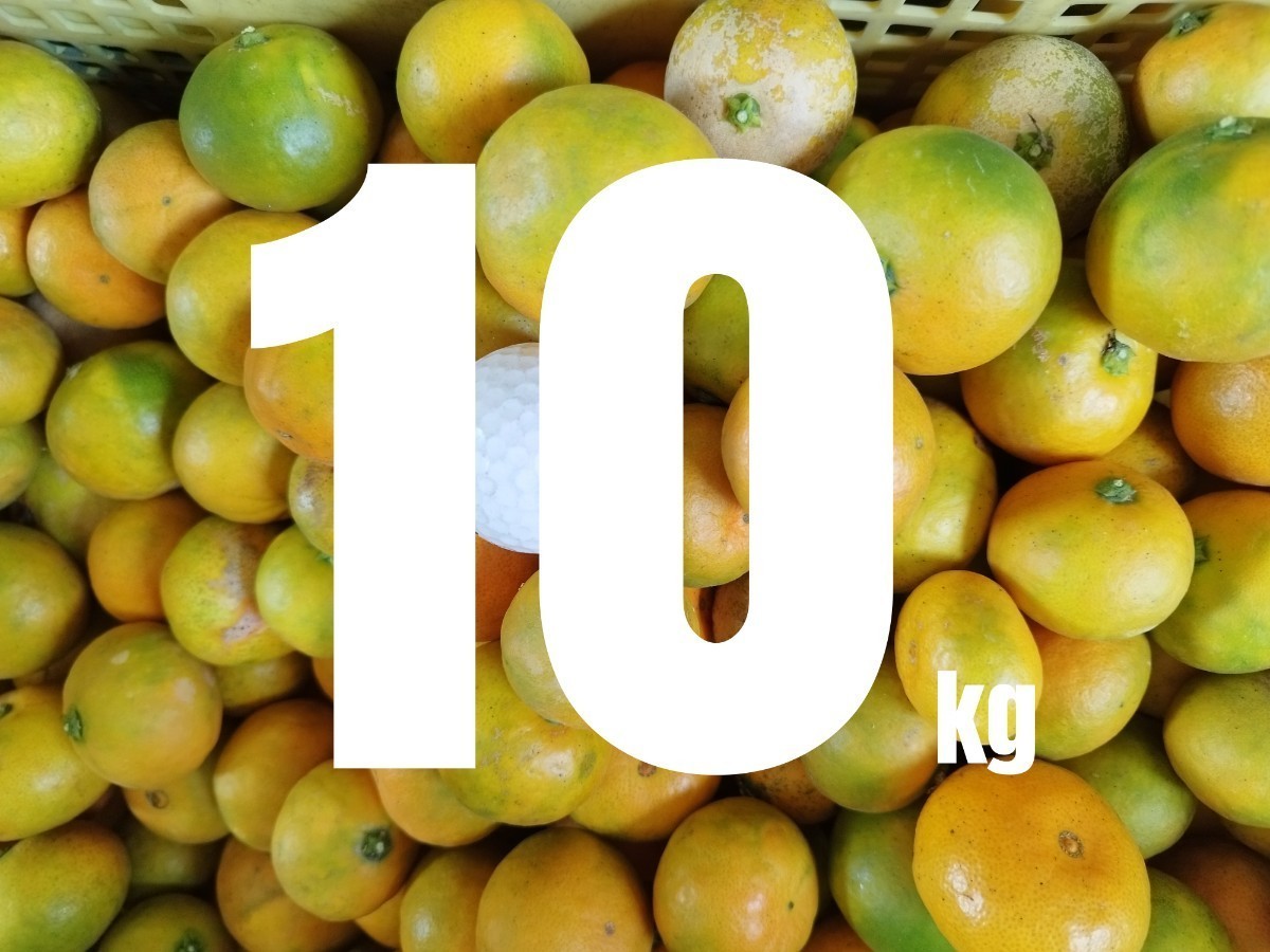 Yahoo!オークション - あいさん みかん 5kg2箱＝10kg 訳あり(^_^ )